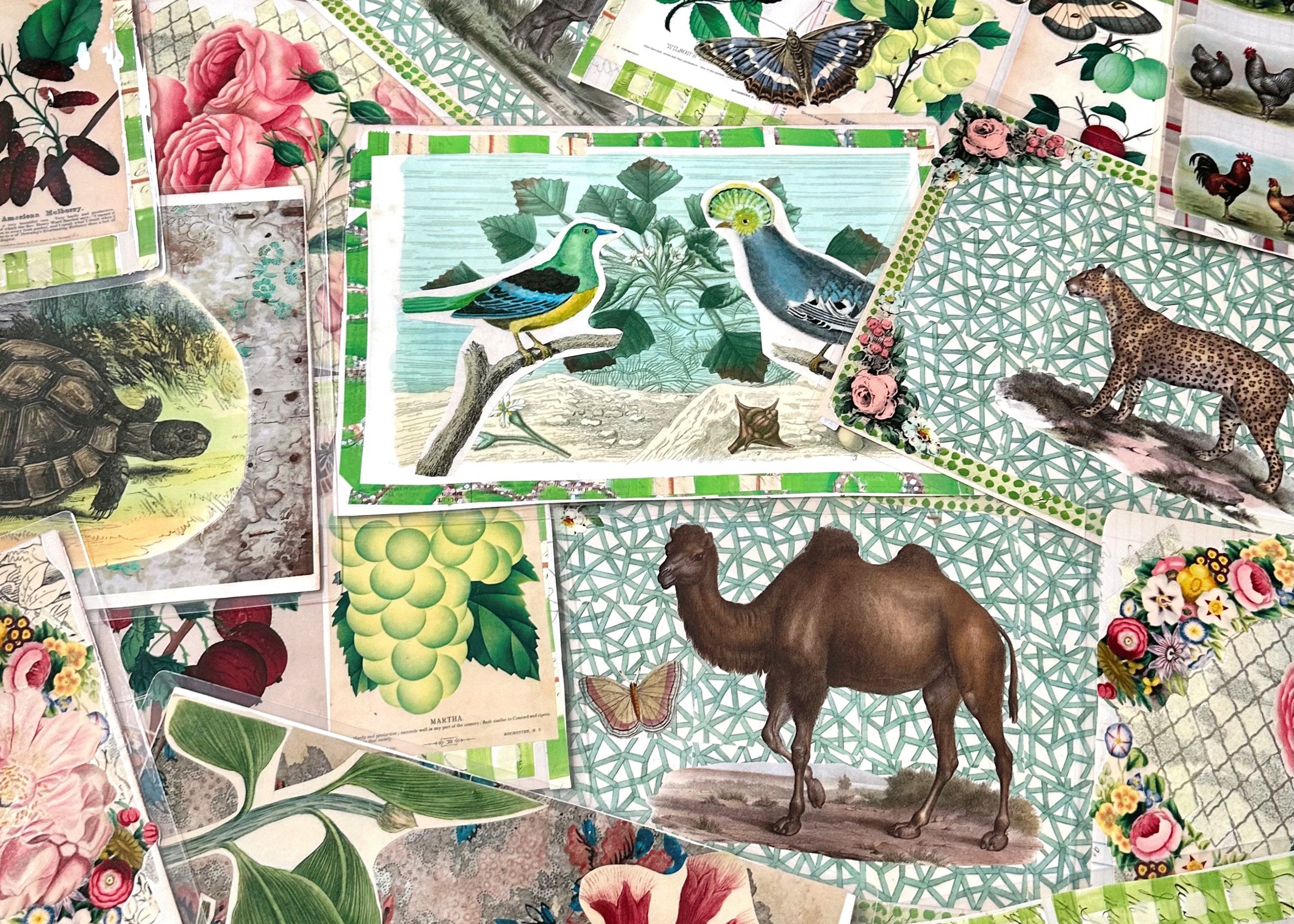 John's Collaged Mats