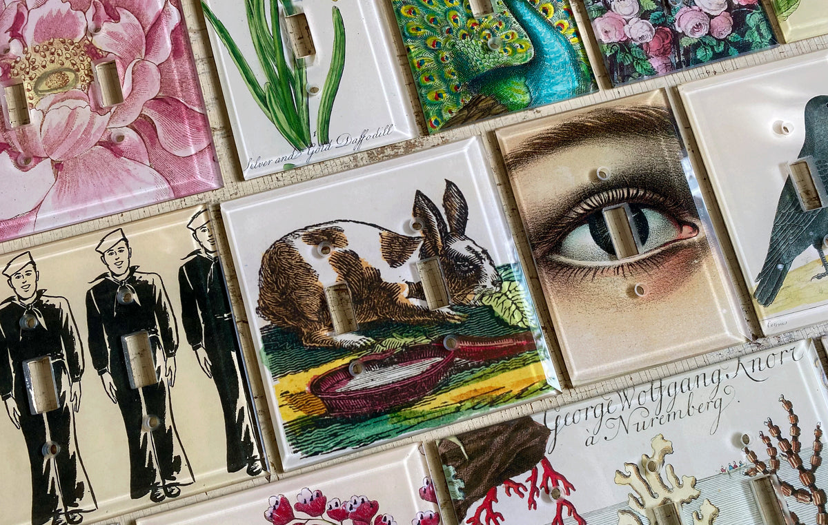 John Derian Company — John Derian Company Inc