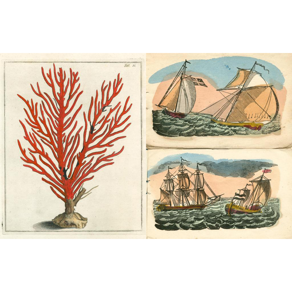 John Derian Picture Book II