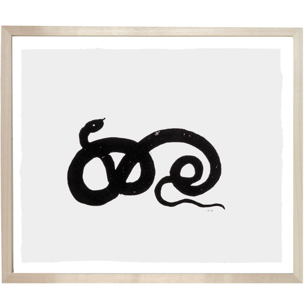 Snake 1