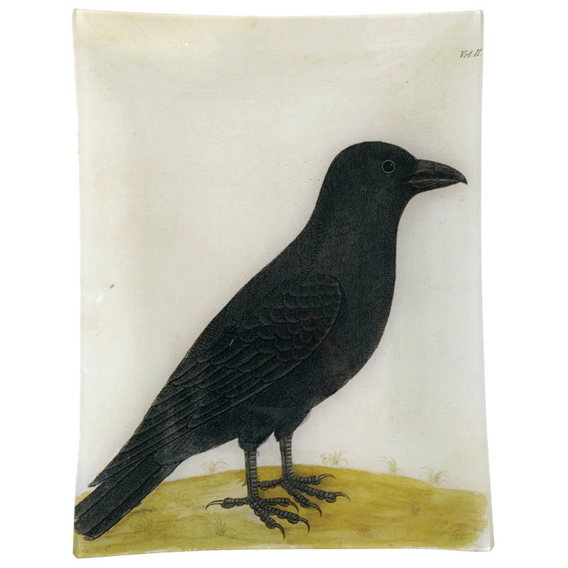#8 - Raven (Right)