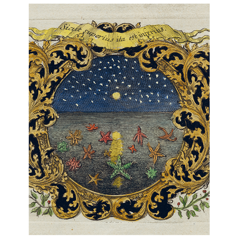 Starfish & Starry Night (p 162)