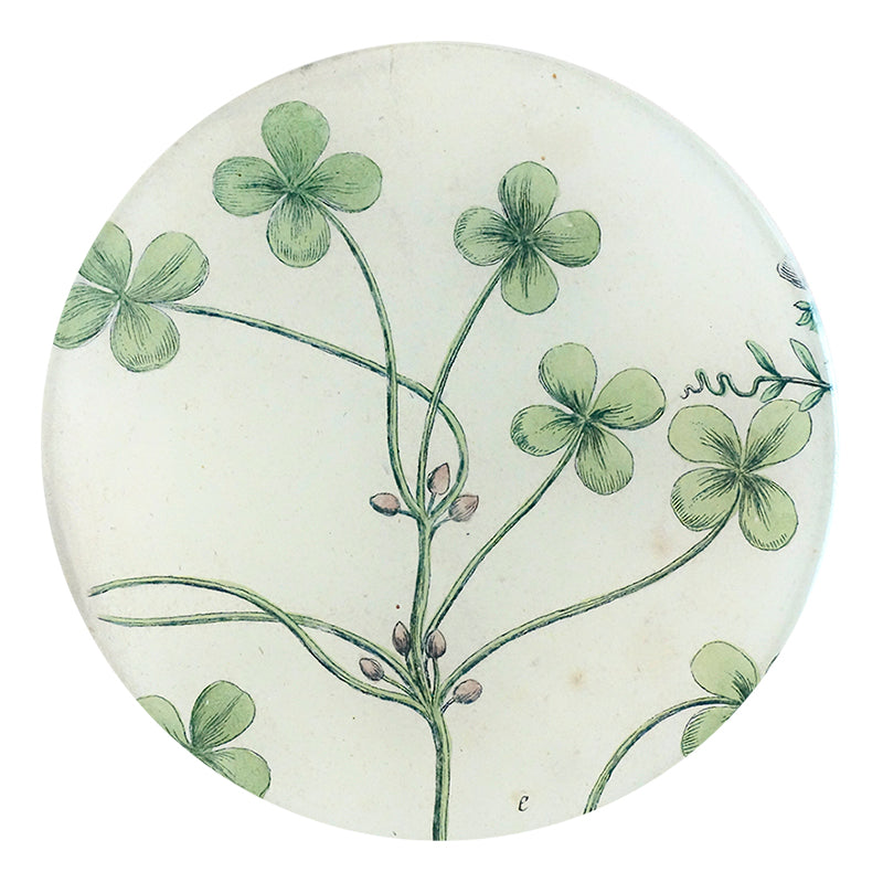Lentille