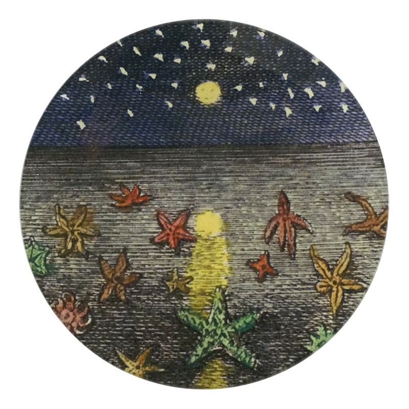 Starfish at Night