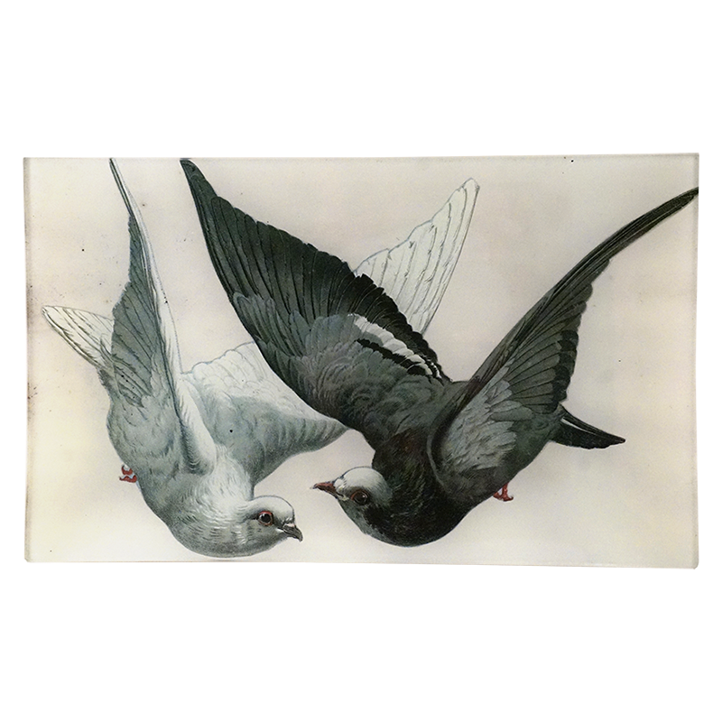 2 Doves