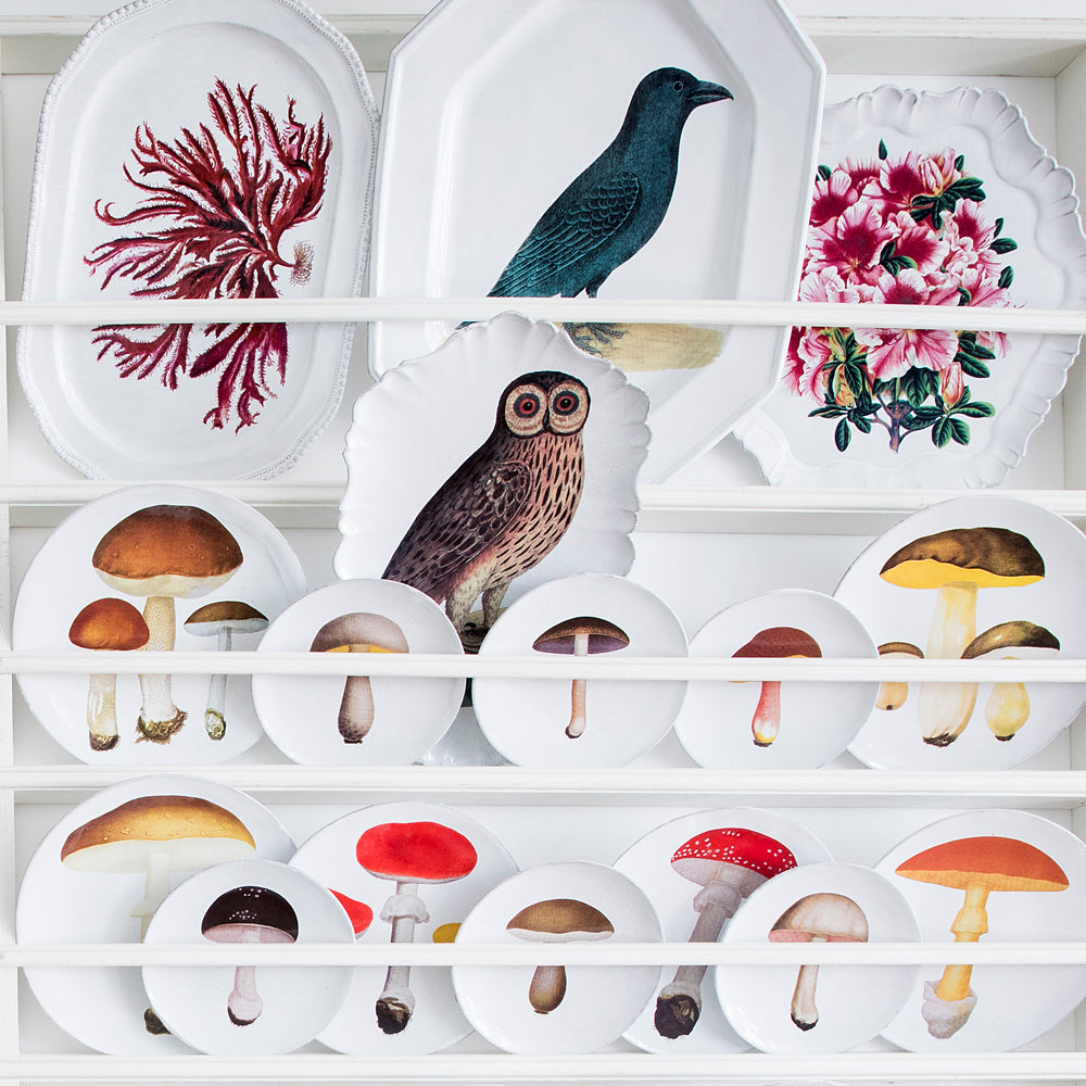 Owl Platter