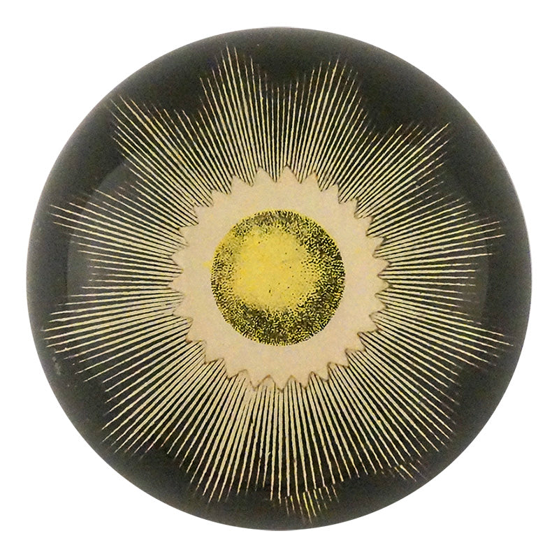 Eclipse II