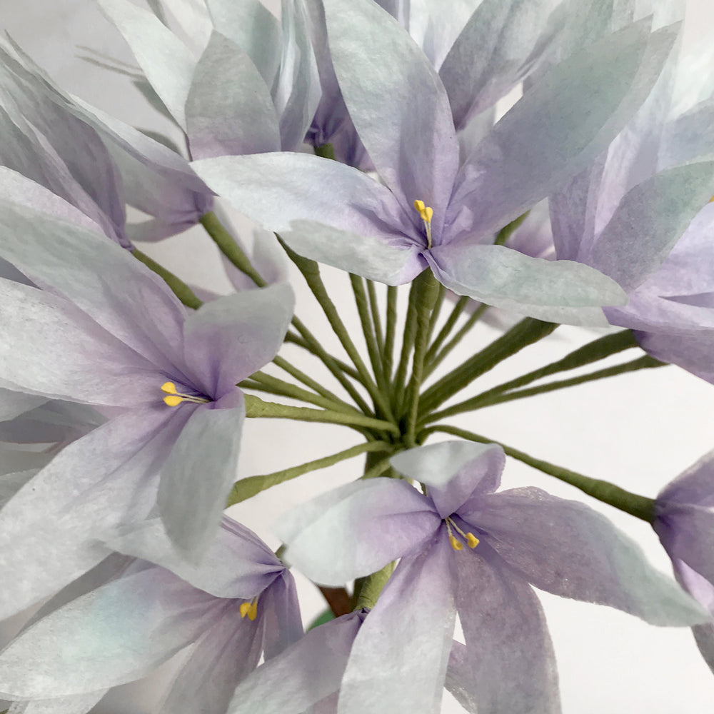 The Green Vase Potted Allium
