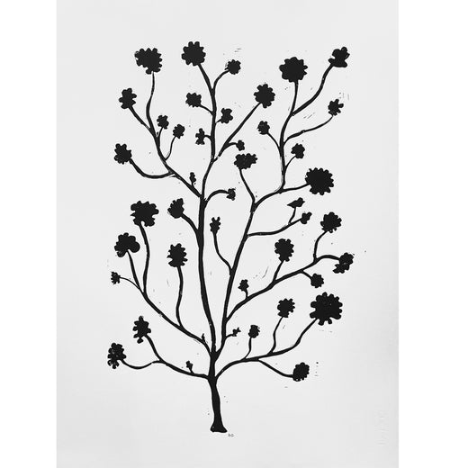 Geranium