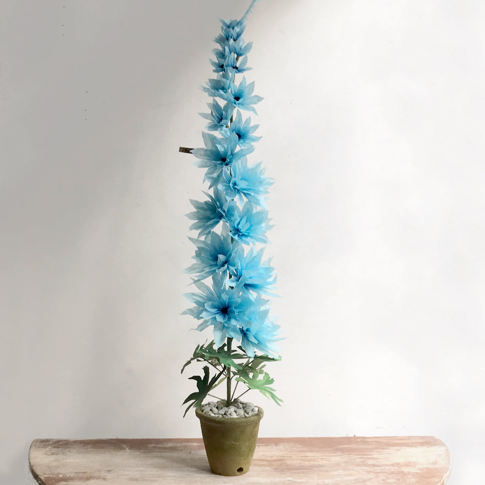 The Green Vase Potted Delphinium