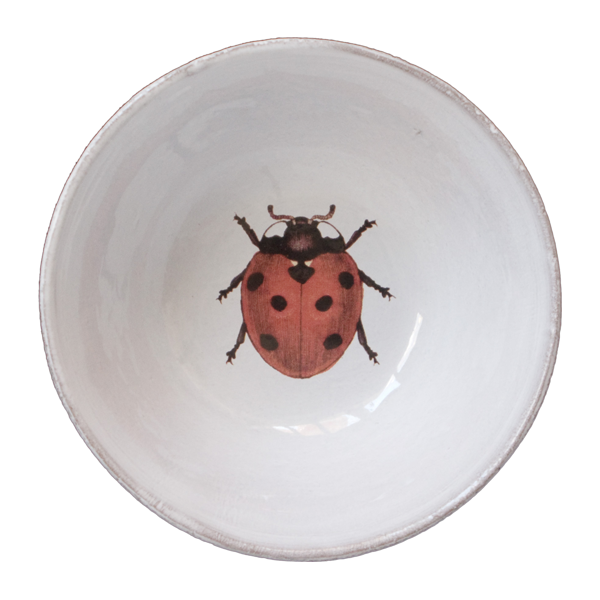 Ladybug Bowl