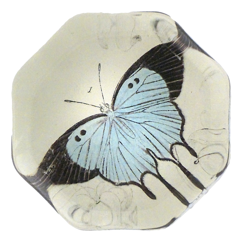 Light Blue Butterfly