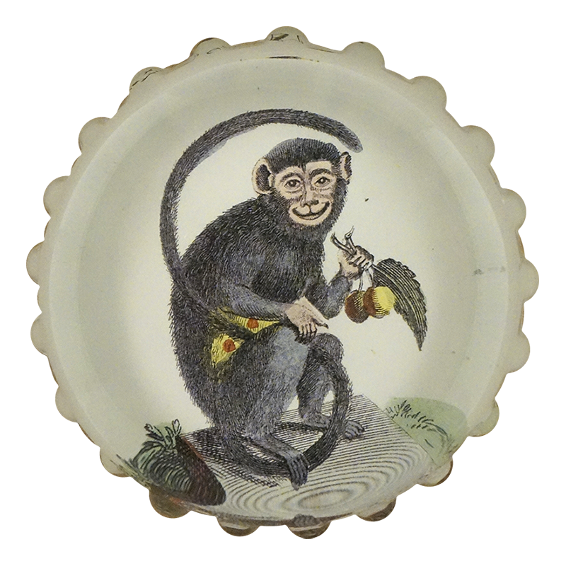 Great-Eared Monkey